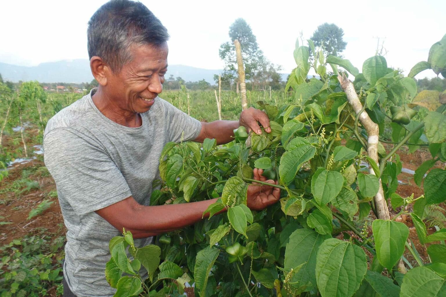 Governance - iNGO Network in the Lao PDR