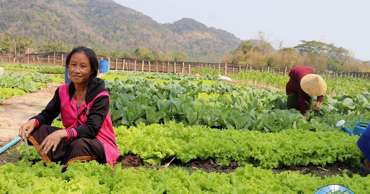 NGO Resources in Laos - UPDATED 2025 - iNGO Network